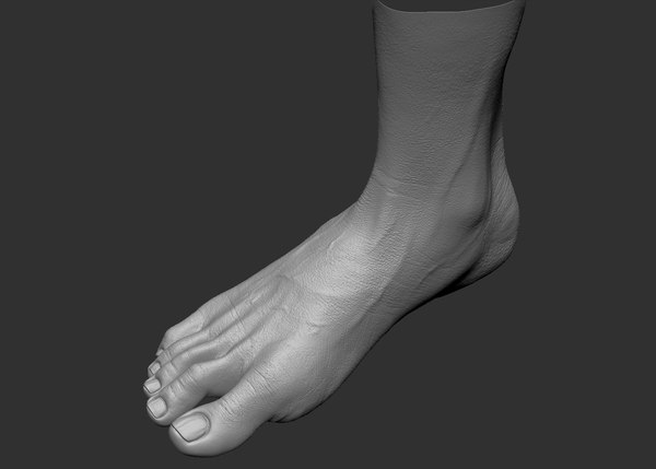 Foot realistic 3D model - TurboSquid 1693733