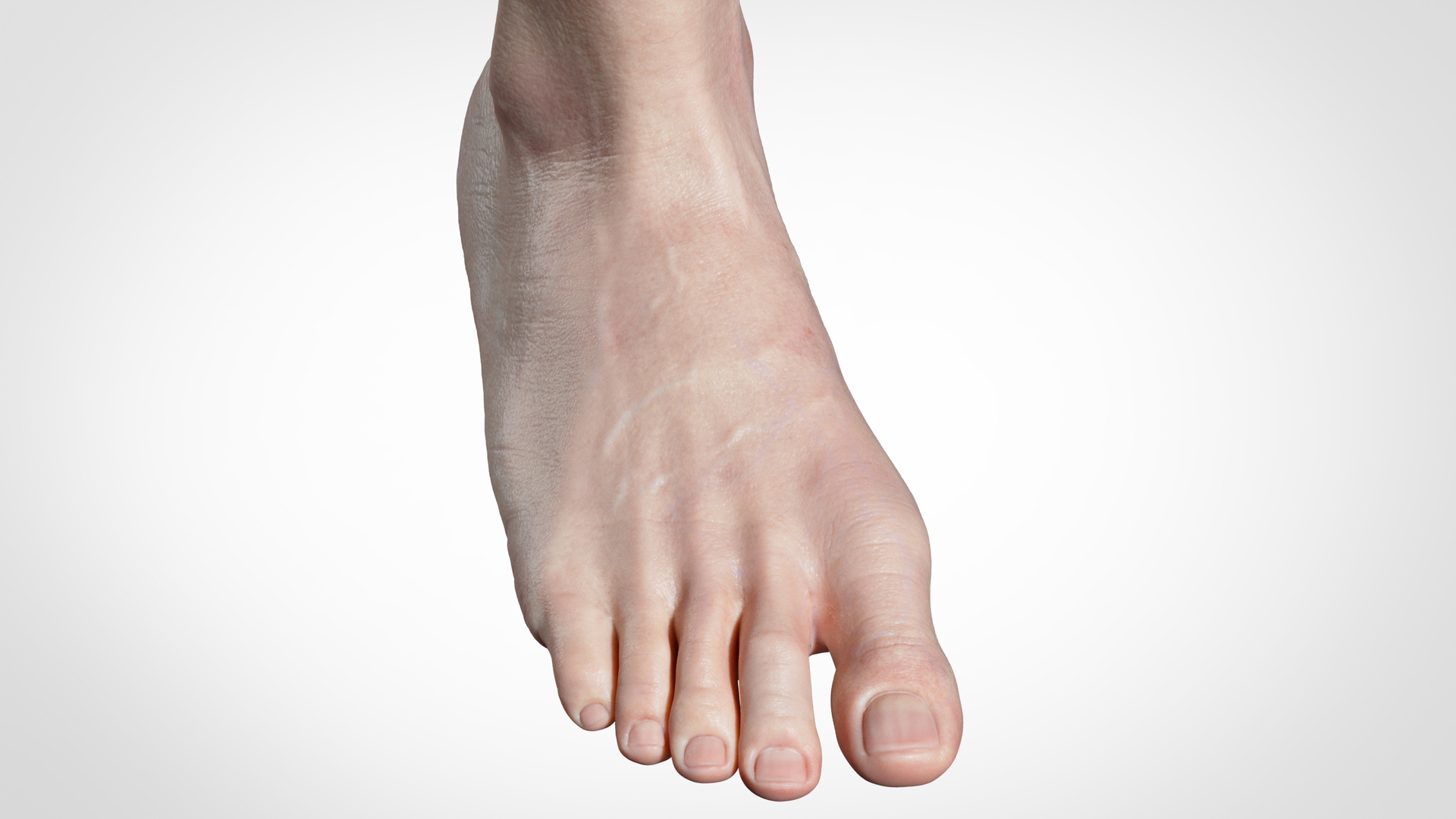 Foot realistic 3D model - TurboSquid 1693733