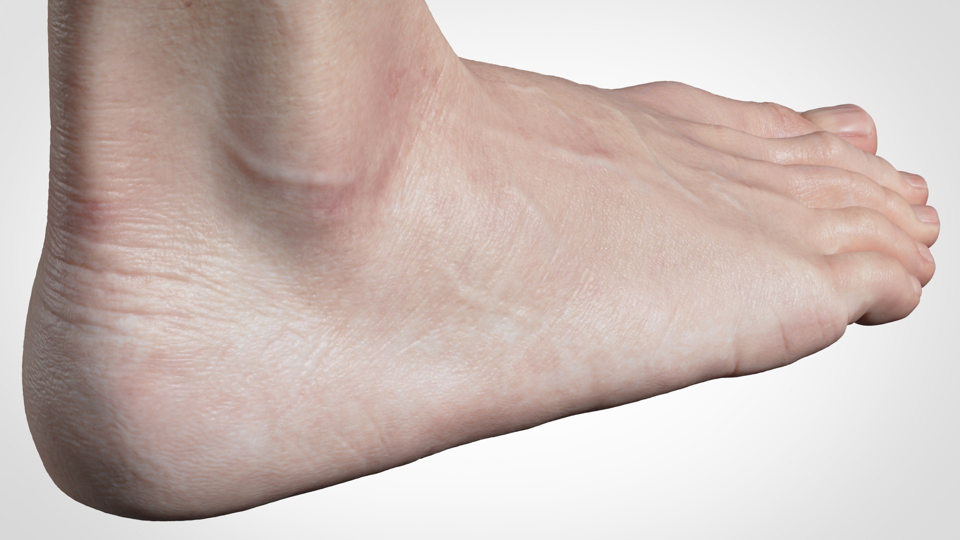 Foot Realistic 3D Model - TurboSquid 1693733