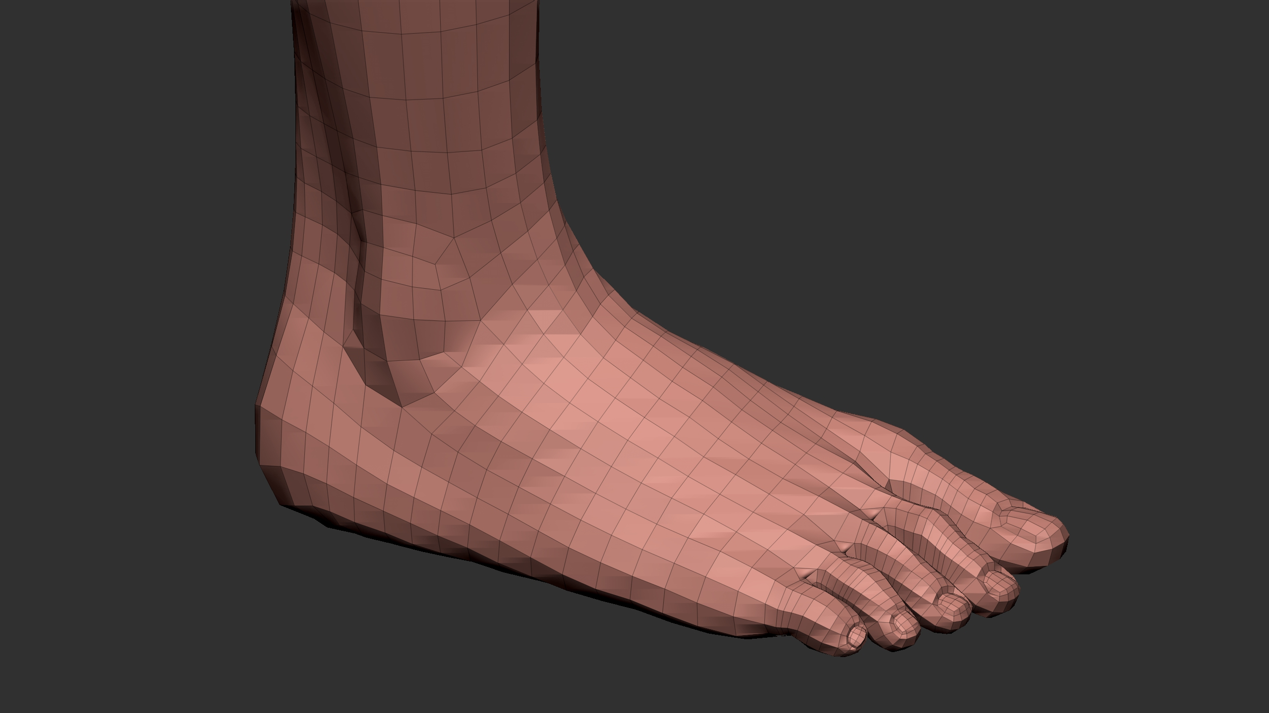 Foot realistic 3D model - TurboSquid 1693733