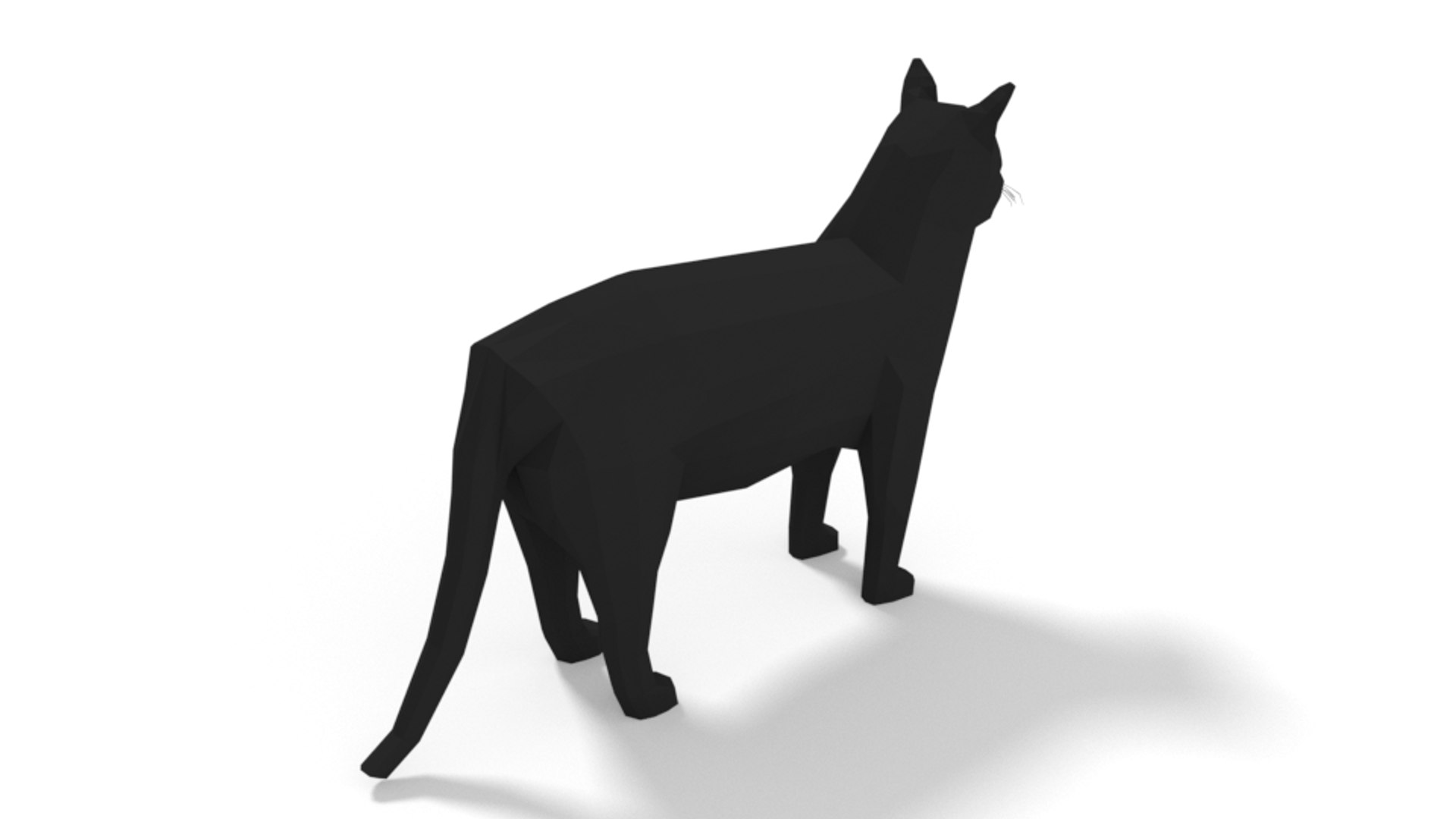 Cat Cartoon Model - TurboSquid 1440616