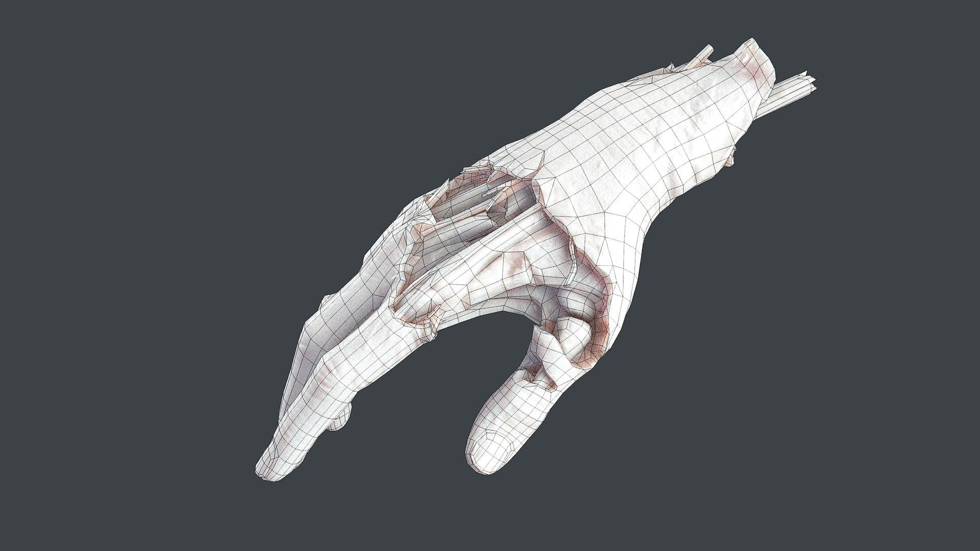Severed Hand 2 3D Model - TurboSquid 1909566