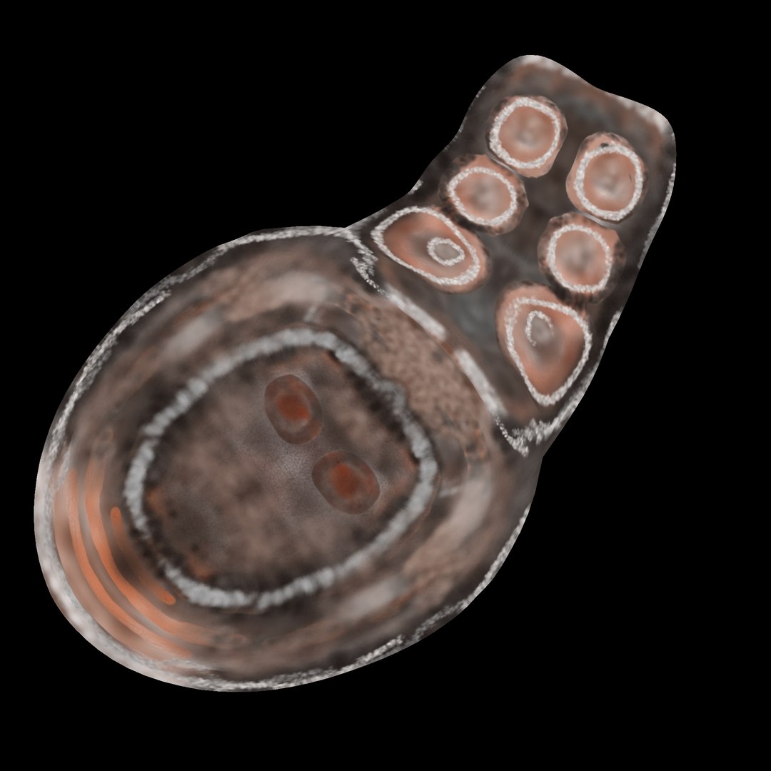 High-poly soldier character 3D model - TurboSquid 1221783