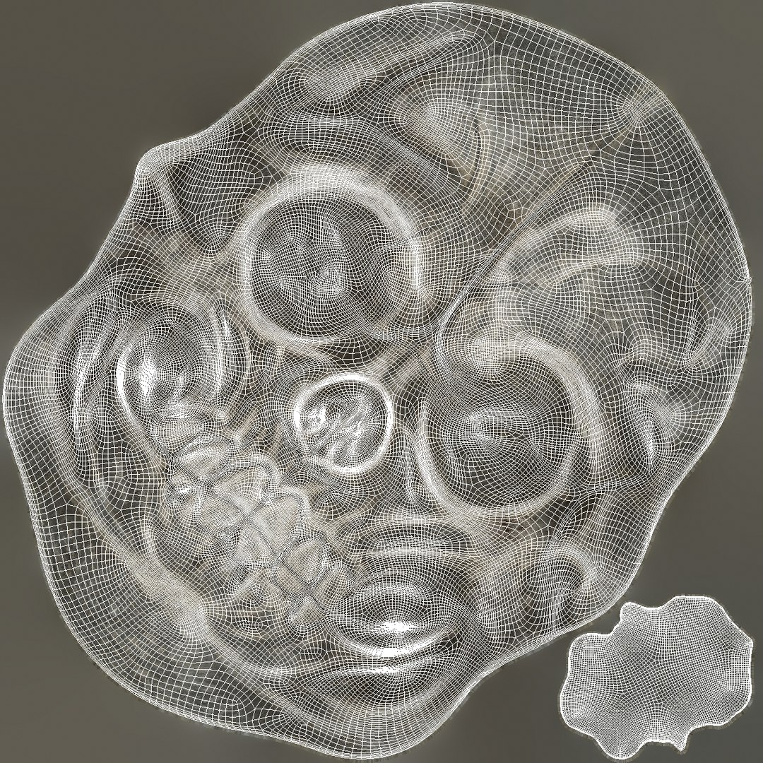 Skull 47 Textured 3D Model - TurboSquid 2308221