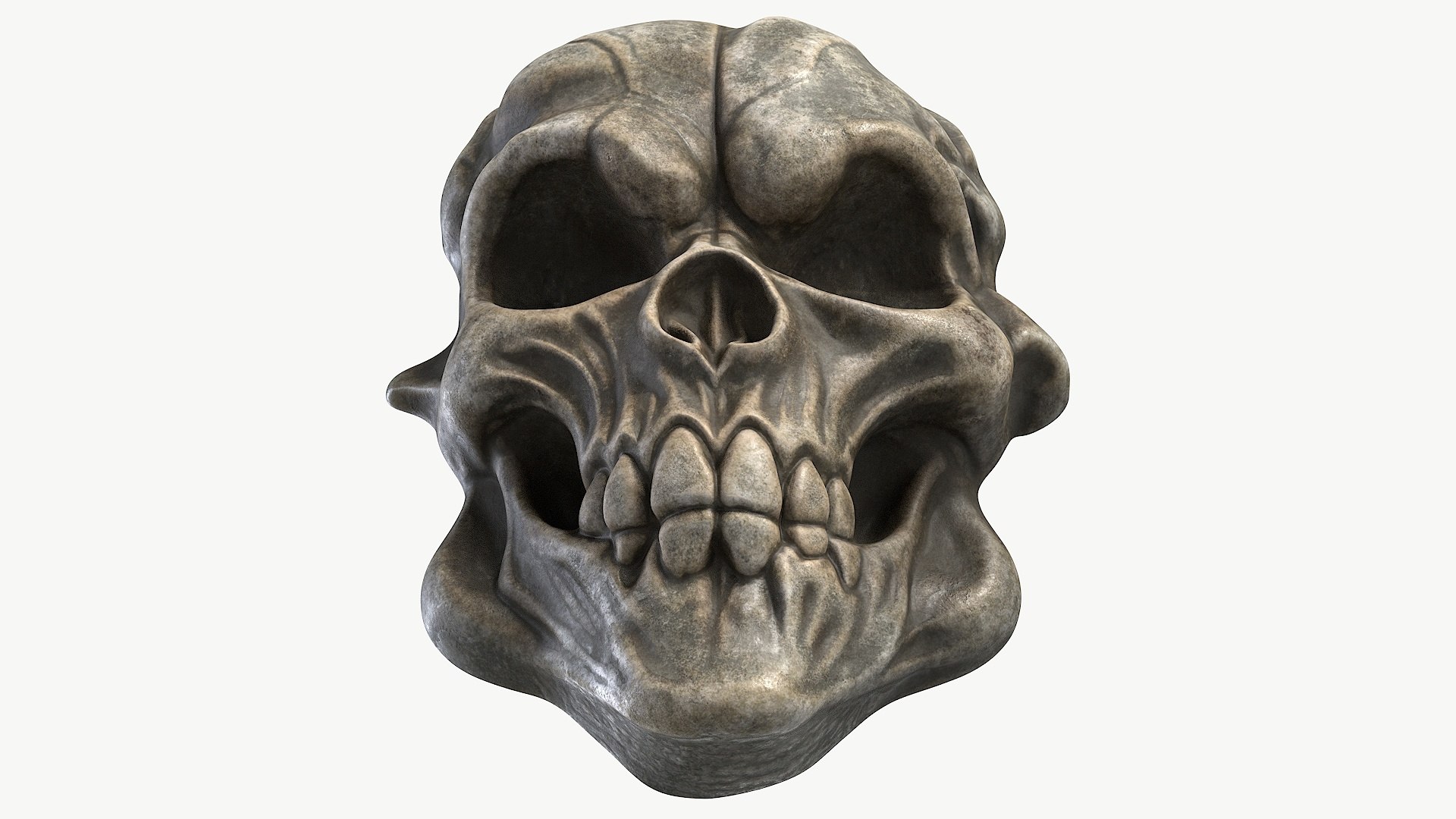 Skull 47 Textured 3D Model - TurboSquid 2308221