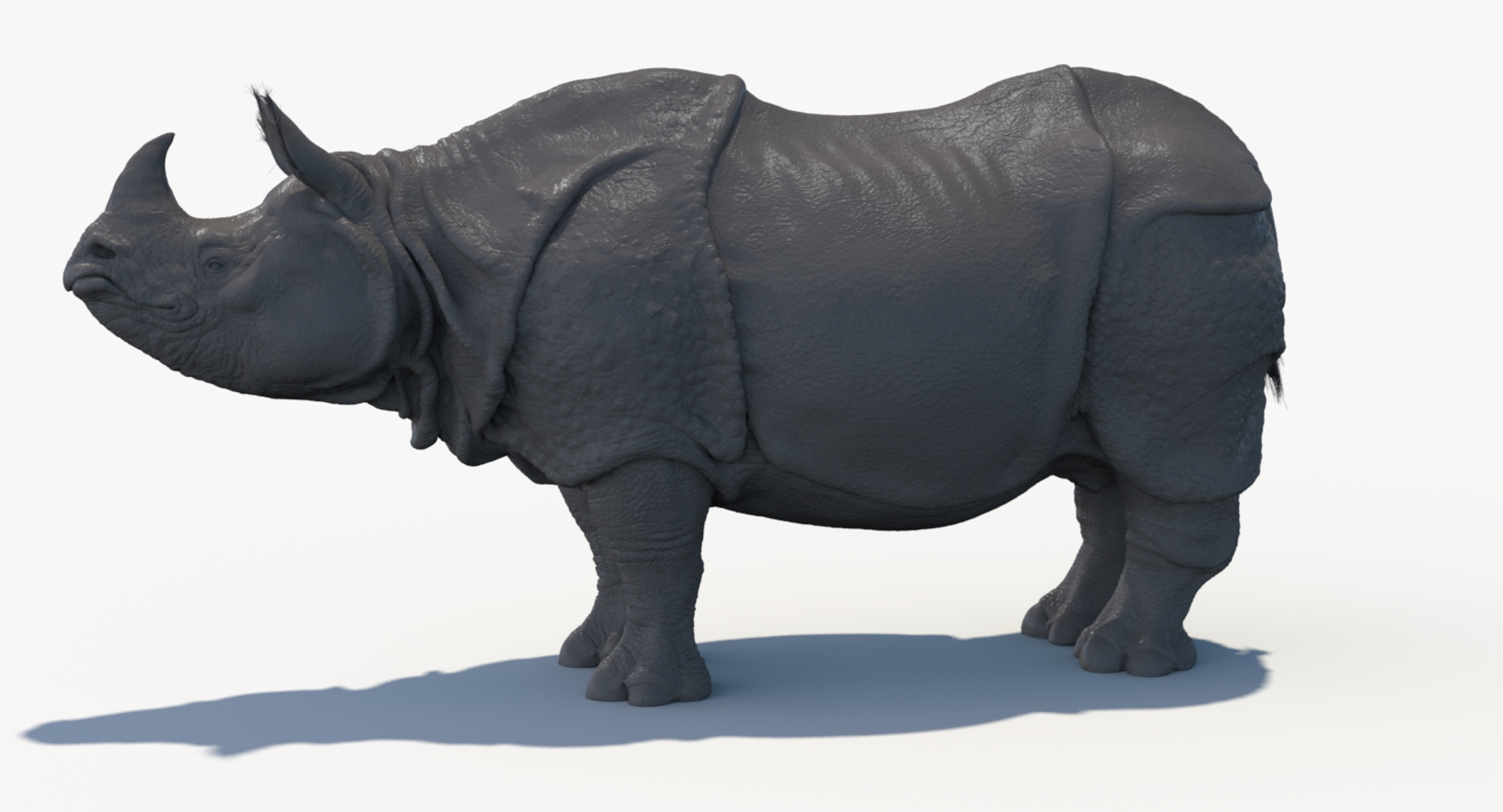 Indian rhinoceros 3D model - TurboSquid 1227191