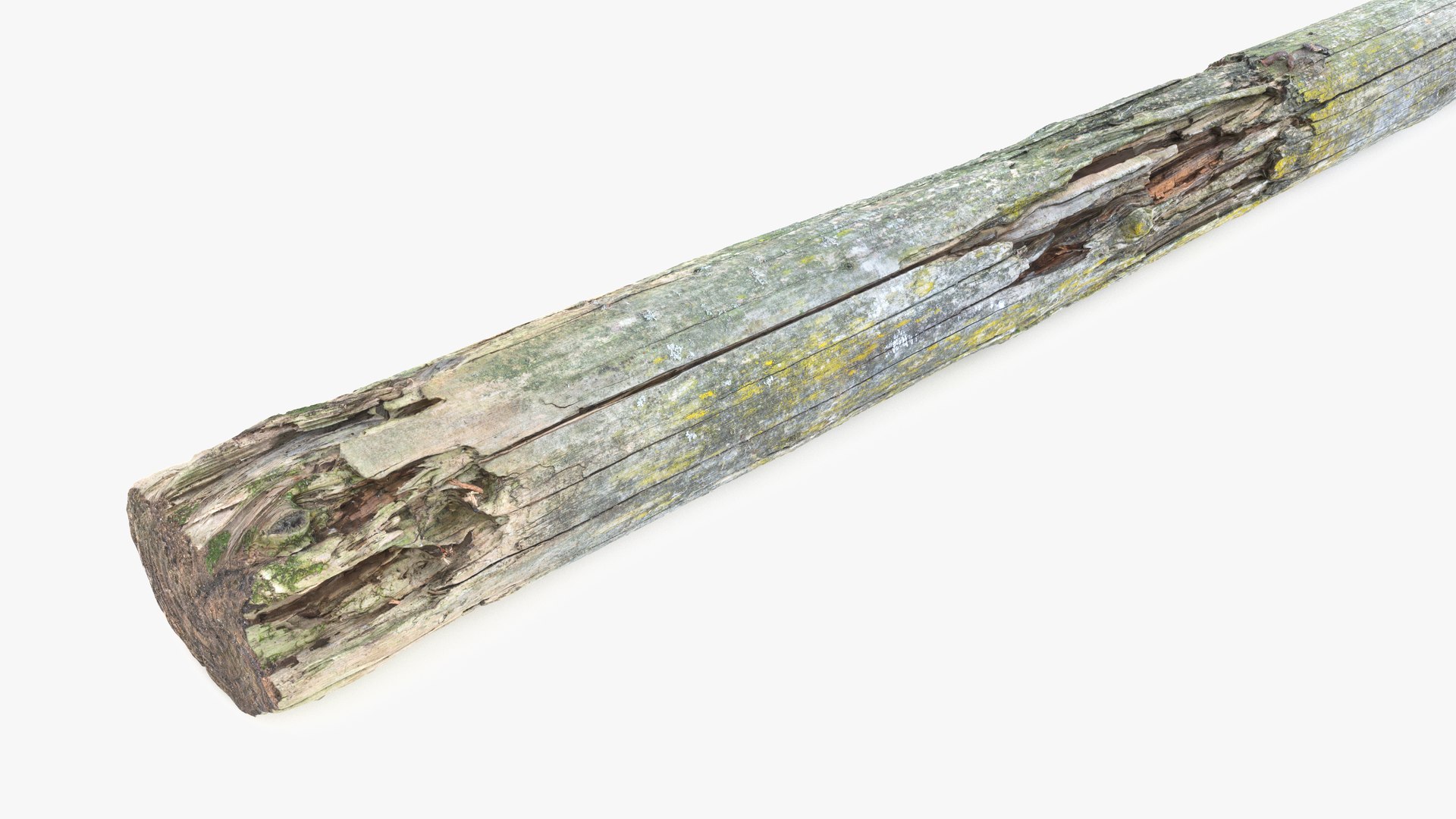 3D model sculpt photorealistic - TurboSquid 1472190