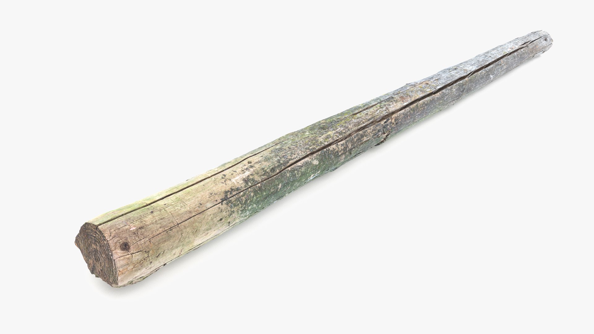 3D model sculpt photorealistic - TurboSquid 1472190