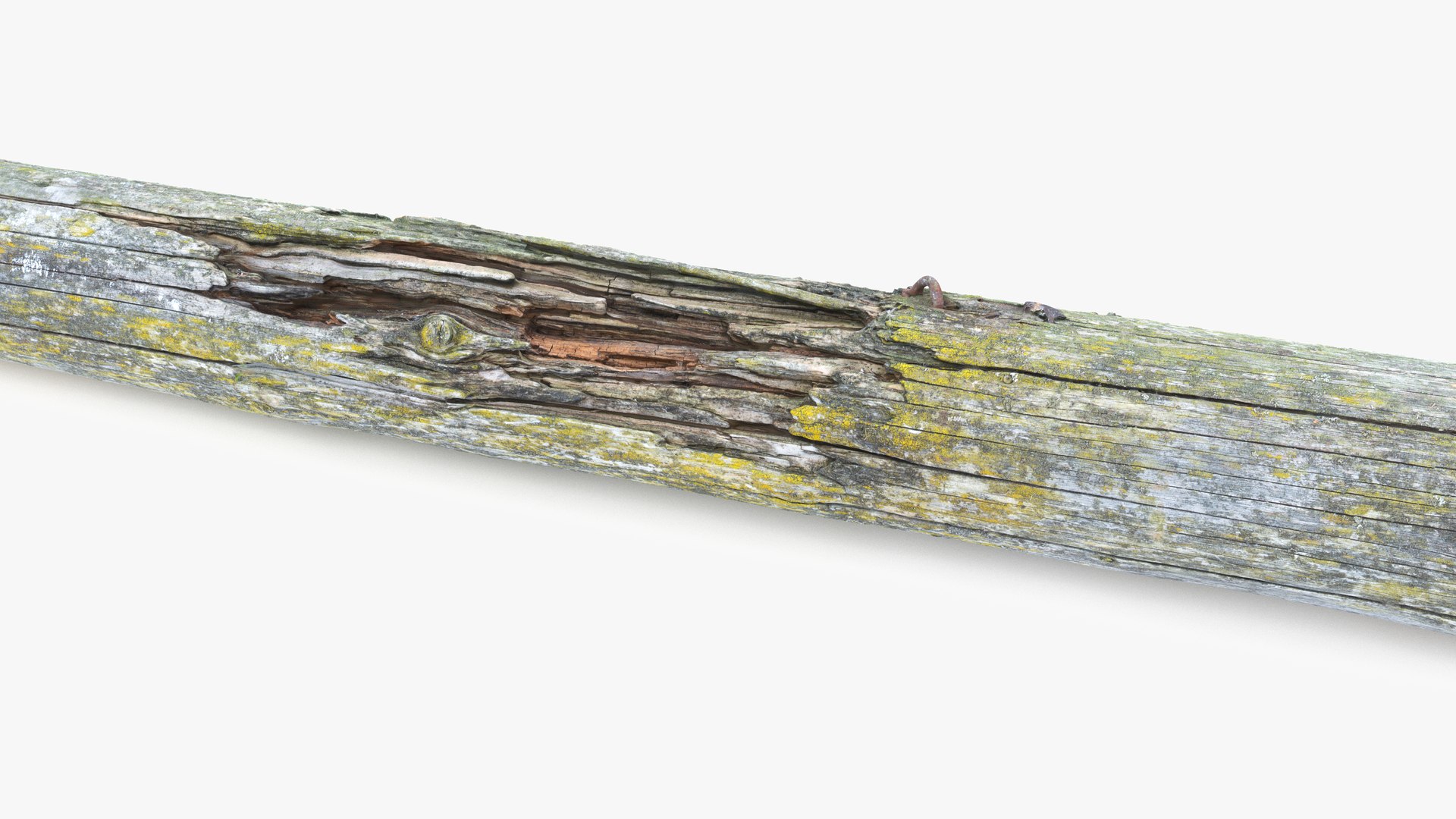 3D model sculpt photorealistic - TurboSquid 1472190