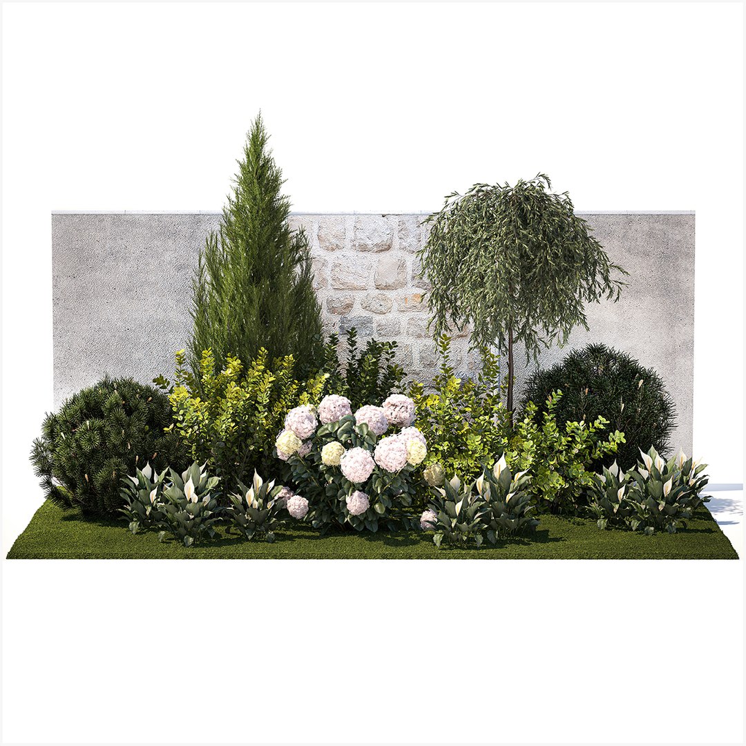 Garden Spathiphyllum Thuja Hydrangea Berberis 1399 3D Model - TurboSquid 2126734