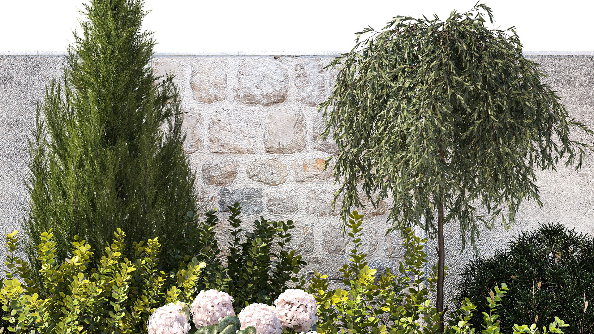 Garden Spathiphyllum Thuja Hydrangea Berberis 1399 3D Model - TurboSquid 2126734