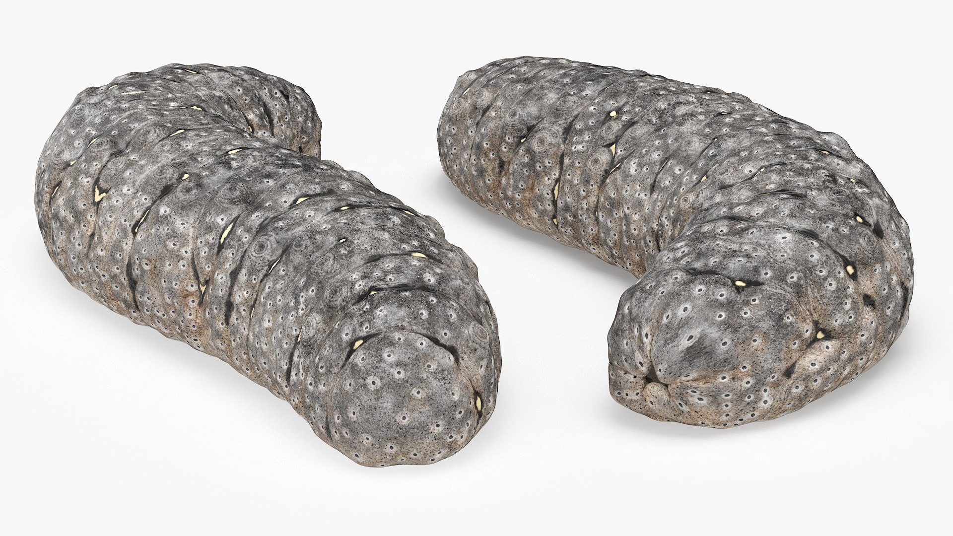 3D Gamat S Shaped Gray Model - TurboSquid 2302480