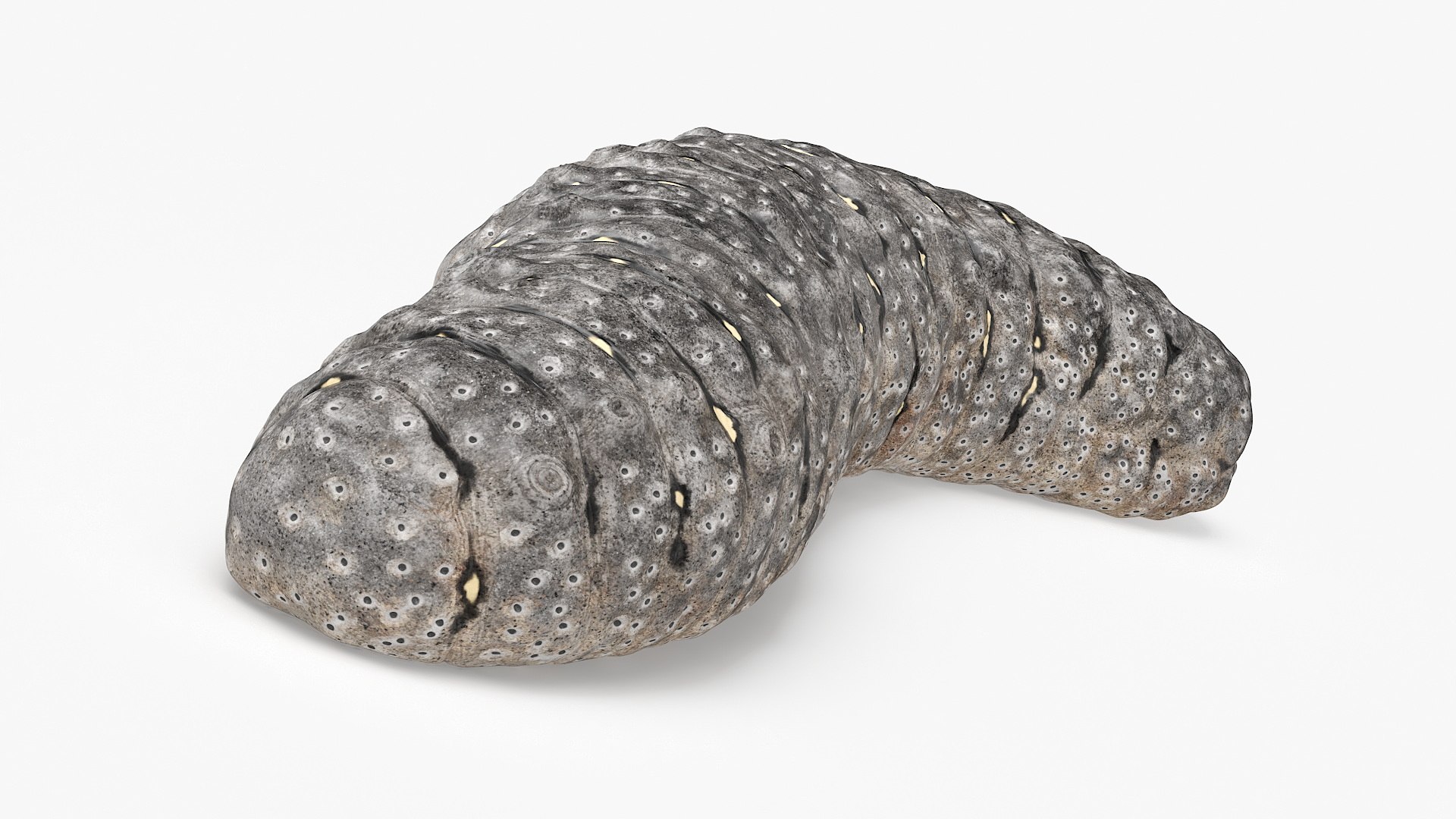 3D Gamat S Shaped Gray Model - TurboSquid 2302480