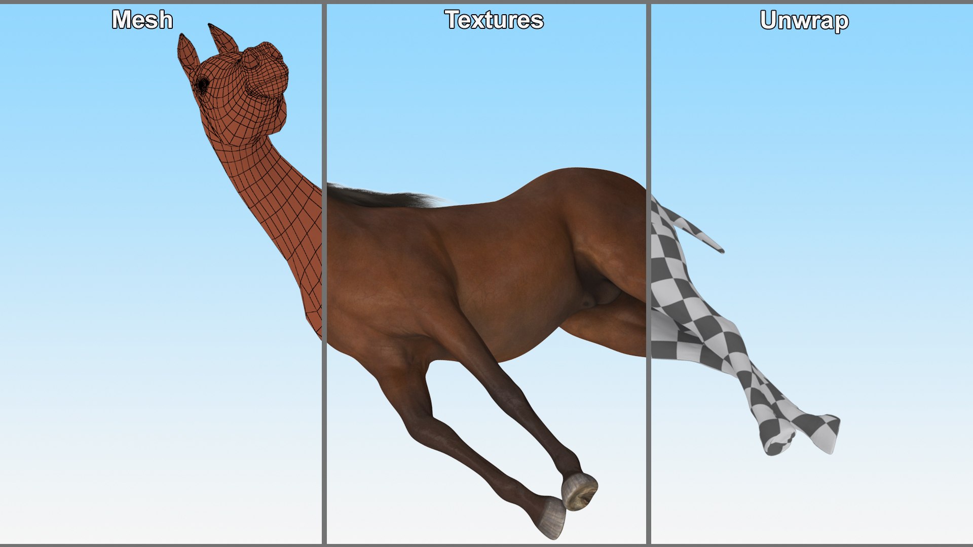 Arabian Horse Brown Stand Pose Fur 3D - TurboSquid 2178346