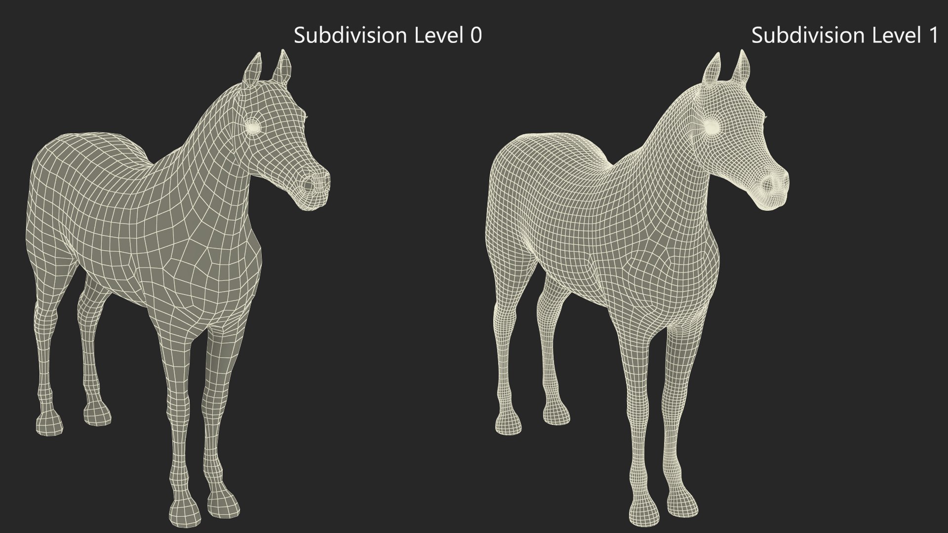 Arabian Horse Brown Stand Pose Fur 3D - TurboSquid 2178346