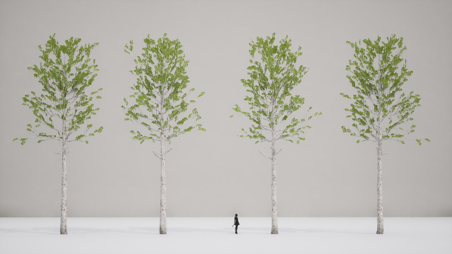 3D Model 5 Realistic Korean Aspen Tree Model II LOD II Game Ready ...