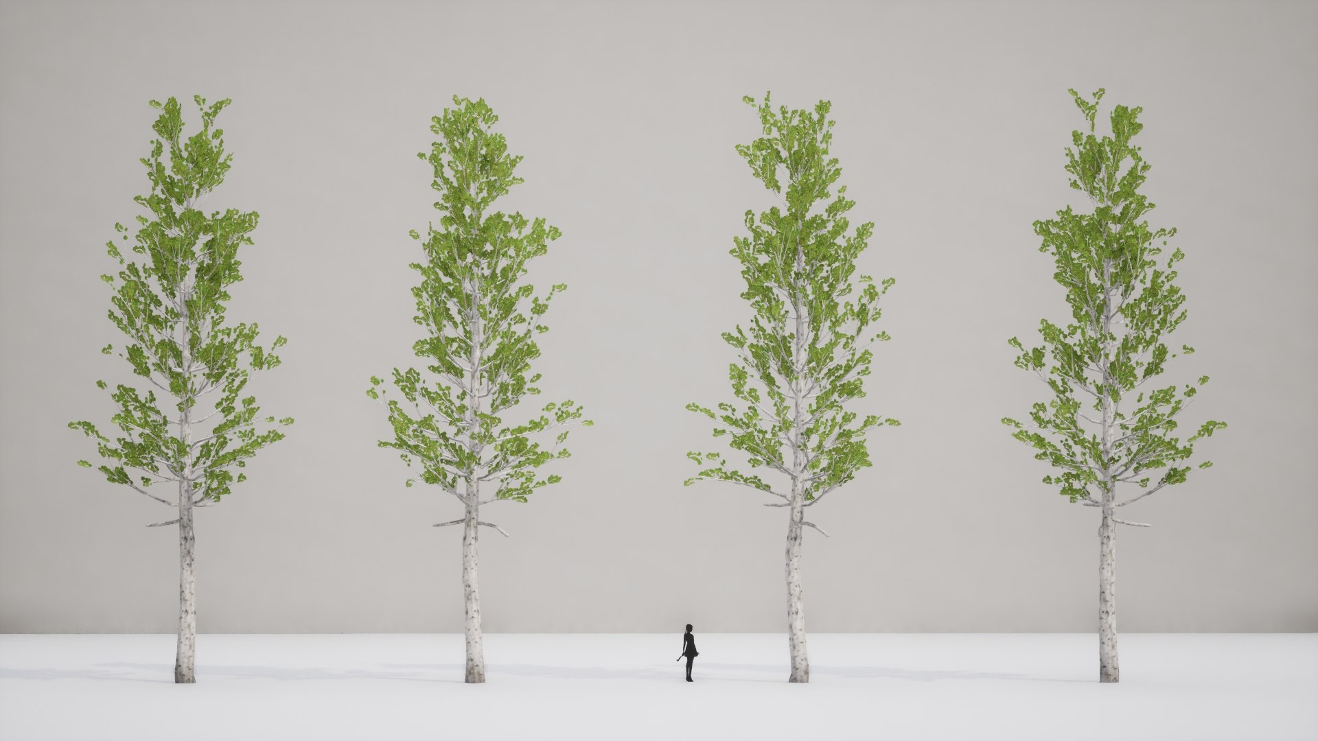 3D Model 5 Realistic Korean Aspen Tree Model II LOD II Game Ready ...