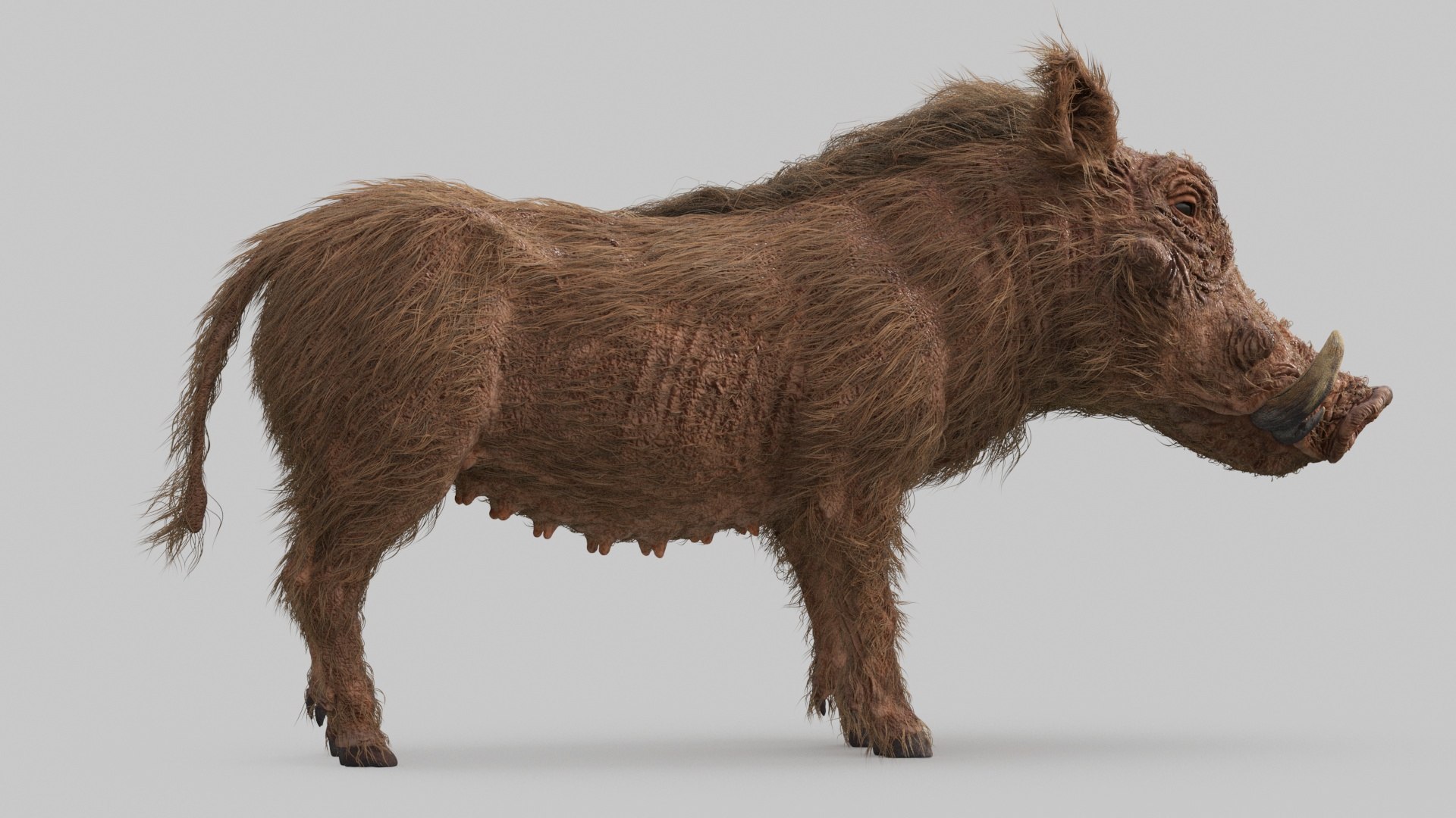 3D Warthog - TurboSquid 1989688