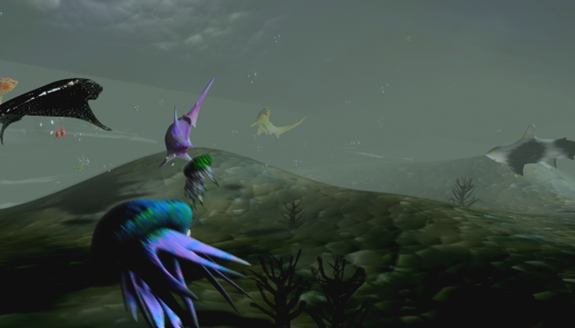 3d Max Life Sea - Animation Fish