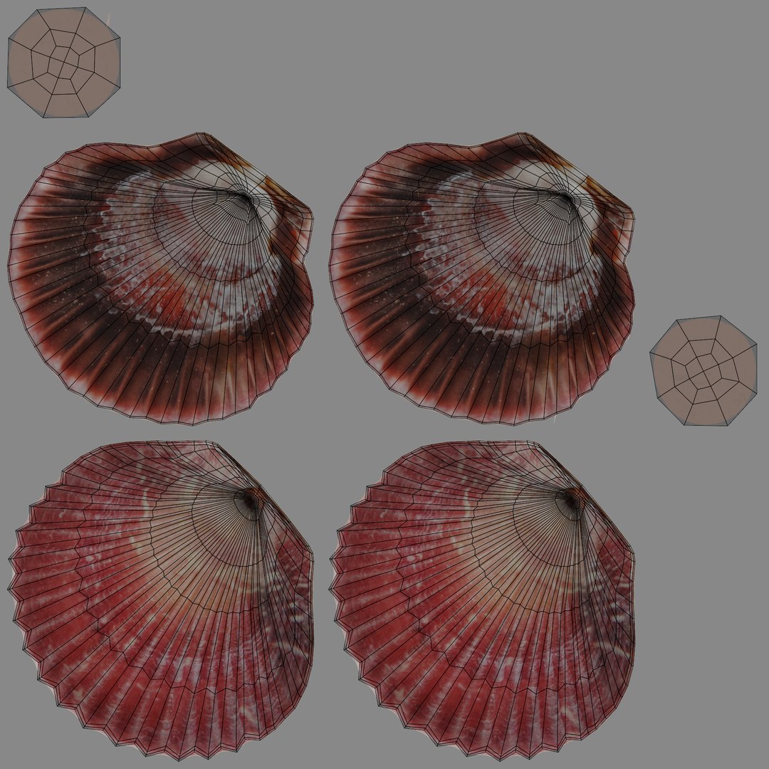 3D Clams With Pearls - TurboSquid 2194089