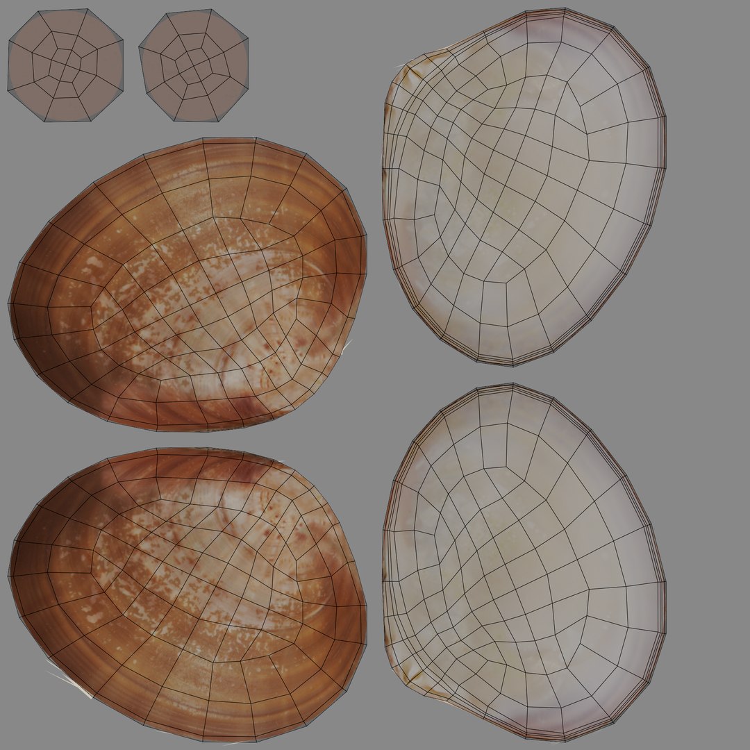 3D Clams With Pearls - TurboSquid 2194089