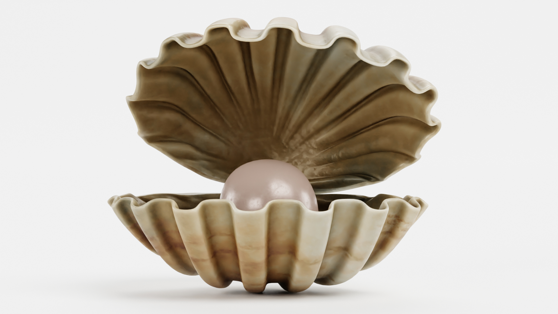 3D Clams With Pearls - TurboSquid 2194089