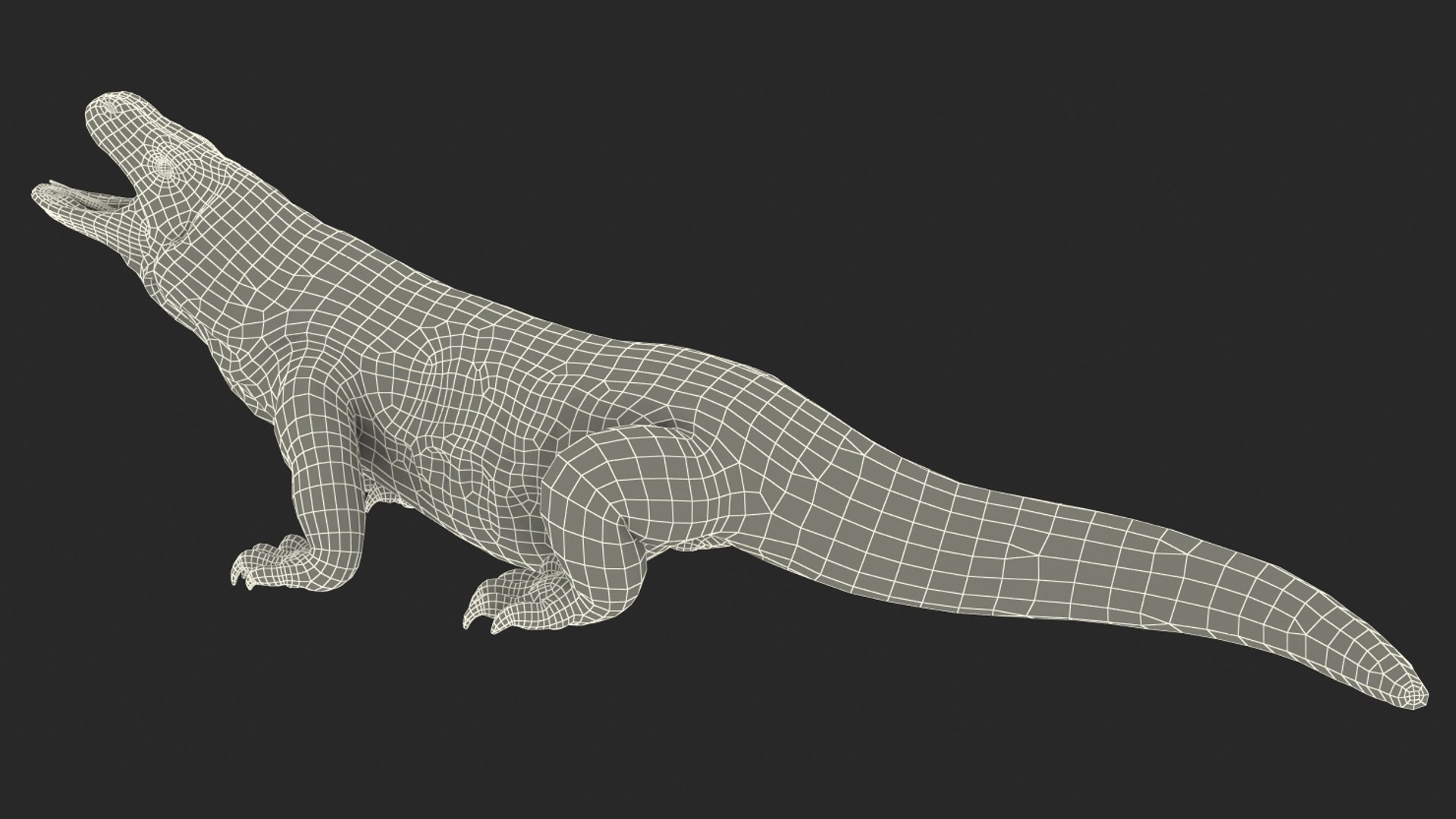 Lizards Collection 3 model - TurboSquid 1968248