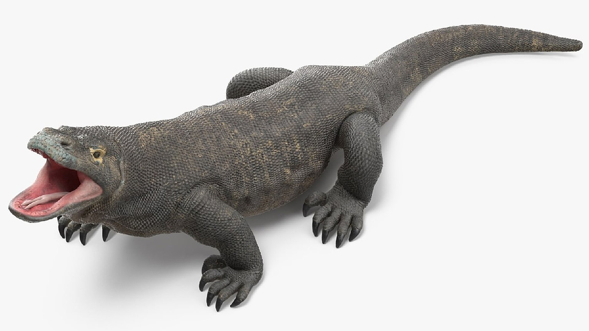 Lizards Collection 3 Model - TurboSquid 1968248