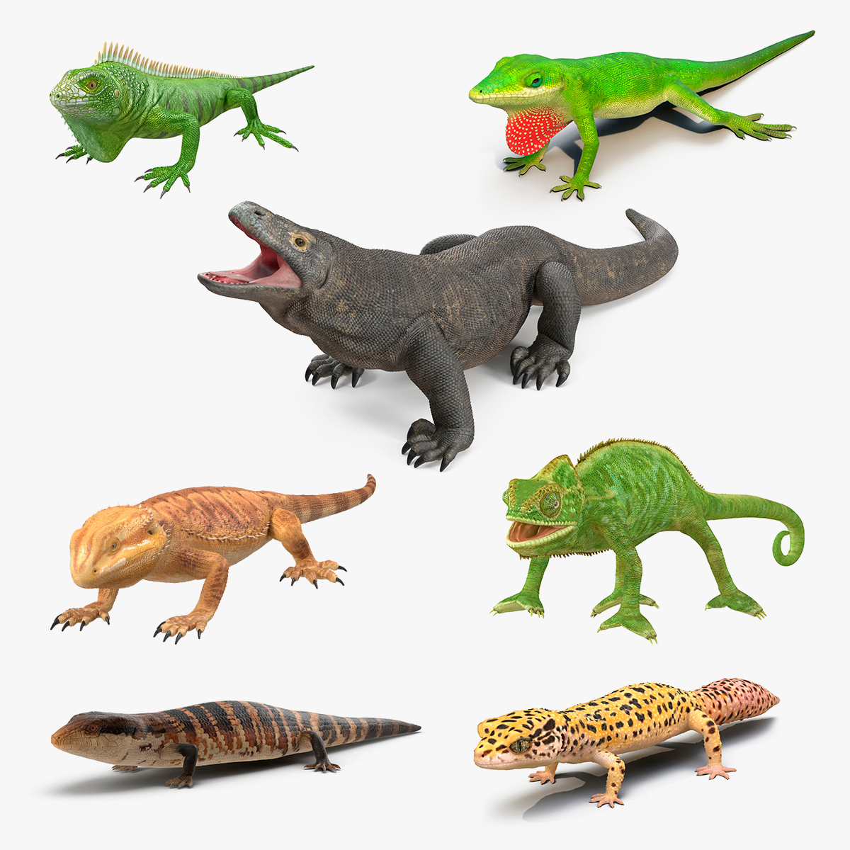 modelo 3d Colección Lagartos 3 - TurboSquid 1968248