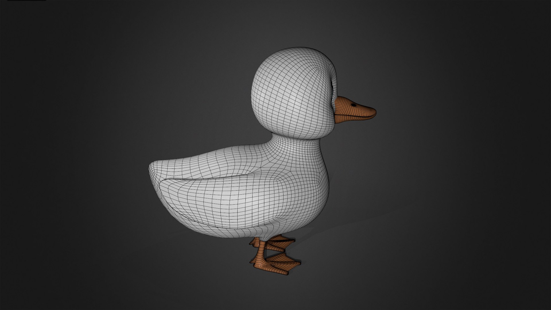 3D Asset - Cartoons - Animal - Duck Mother Rigged - TurboSquid 2171881
