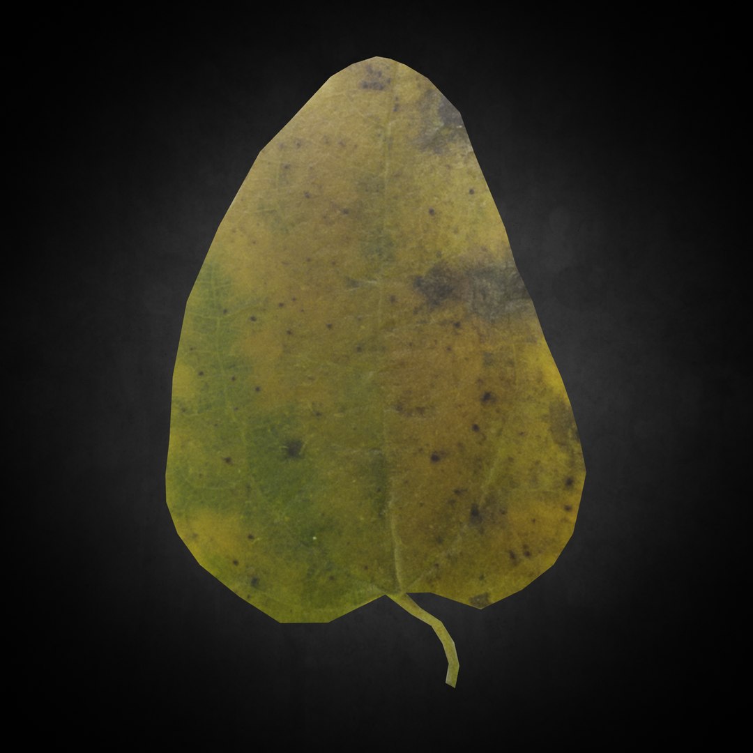 Leaf Nature Model - TurboSquid 1652986