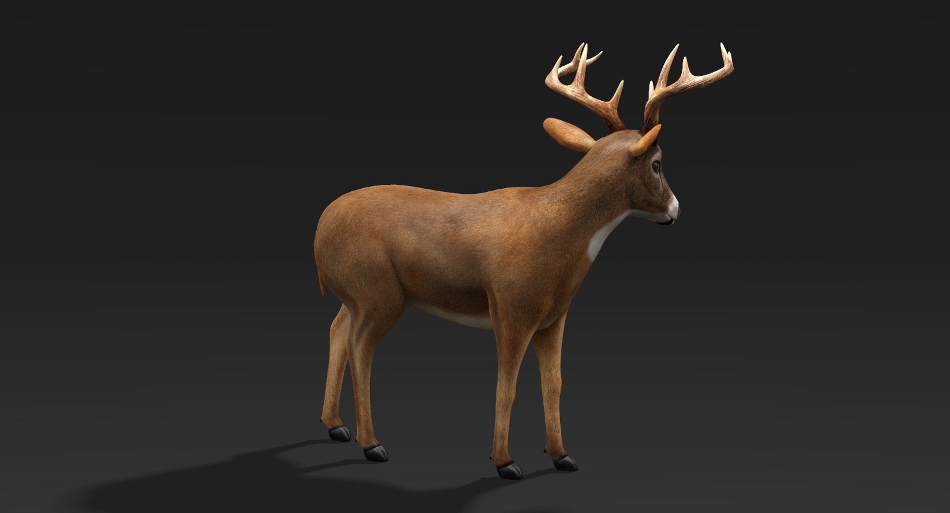 3D Deer Rigged - TurboSquid 1217484