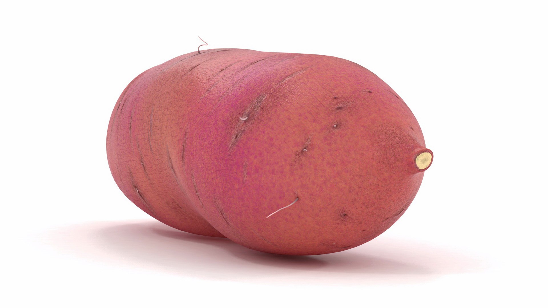 Sweet Potato Red 3D - TurboSquid 1943441