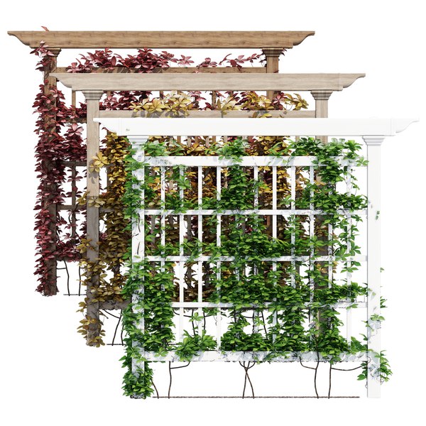 Trellis 3D Models for Download | TurboSquid