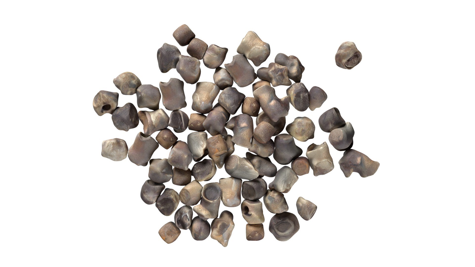 Beet Seed 3D Model - TurboSquid 2406577