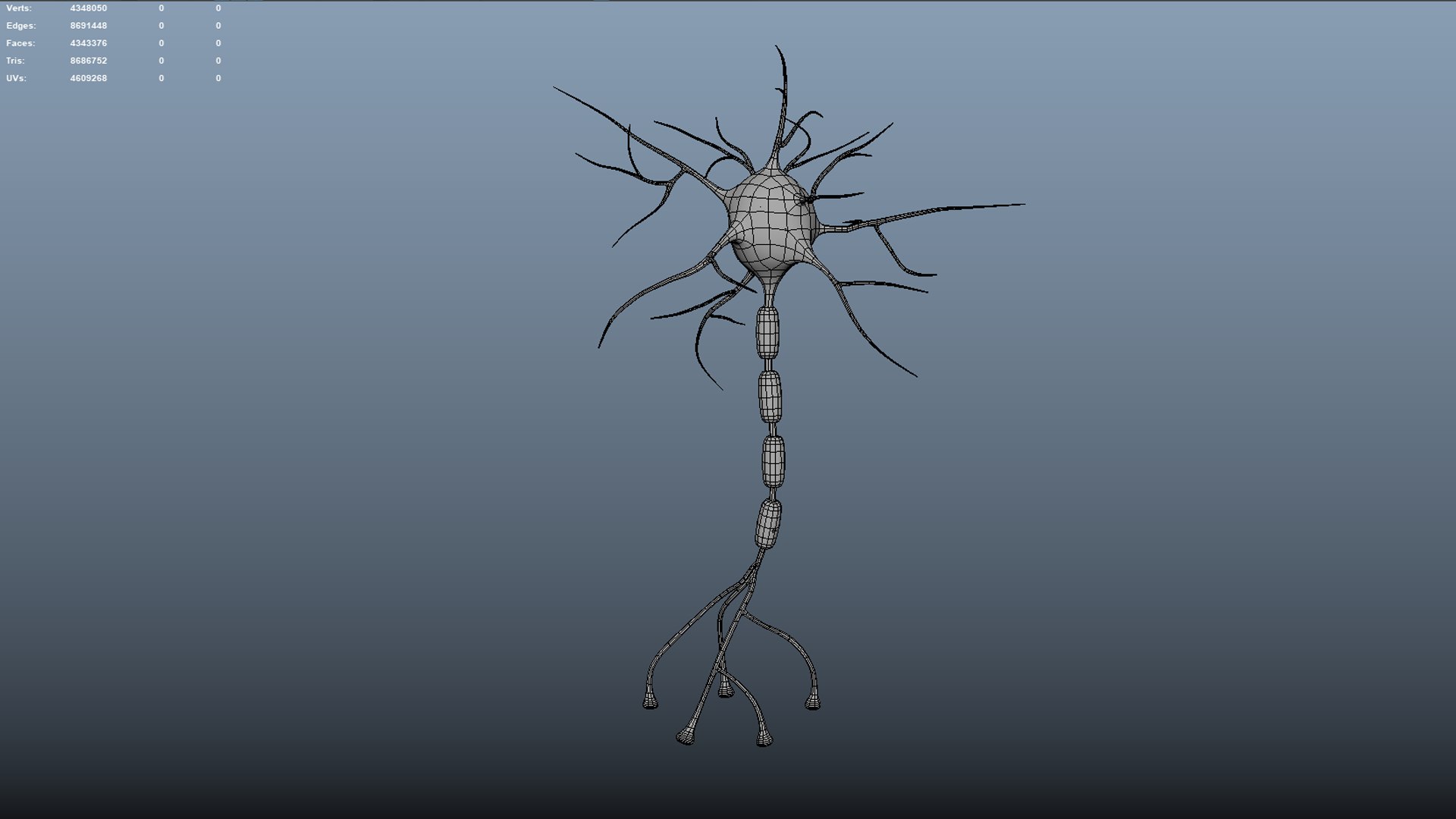 Anatomy Of The Neuron Model - TurboSquid 2170264