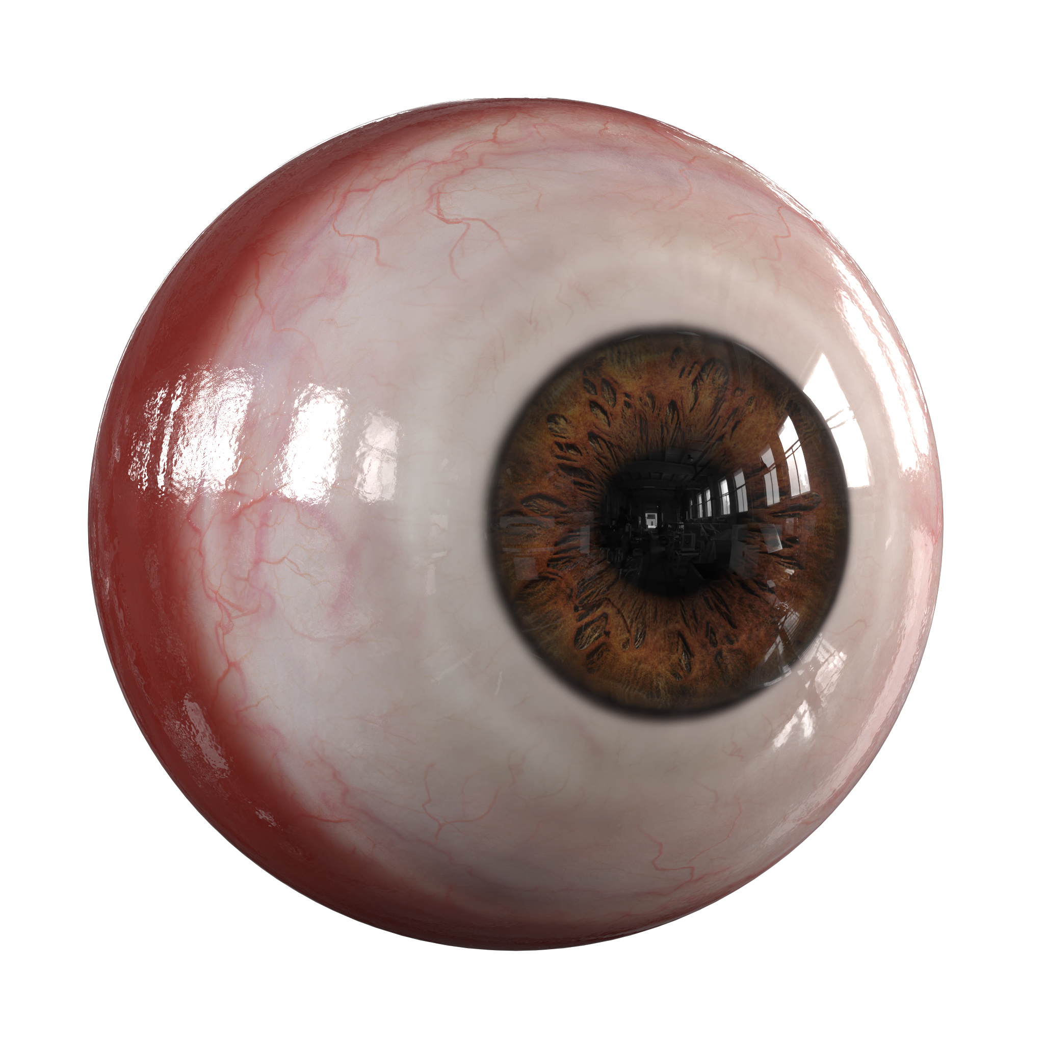 modelo 3d Textura realista del ojo humano 4K - TurboSquid 1645566