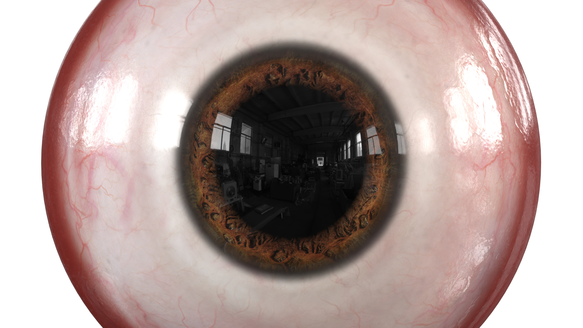 Realistic Human Eye 4K Texture3D模型 - TurboSquid 1645566