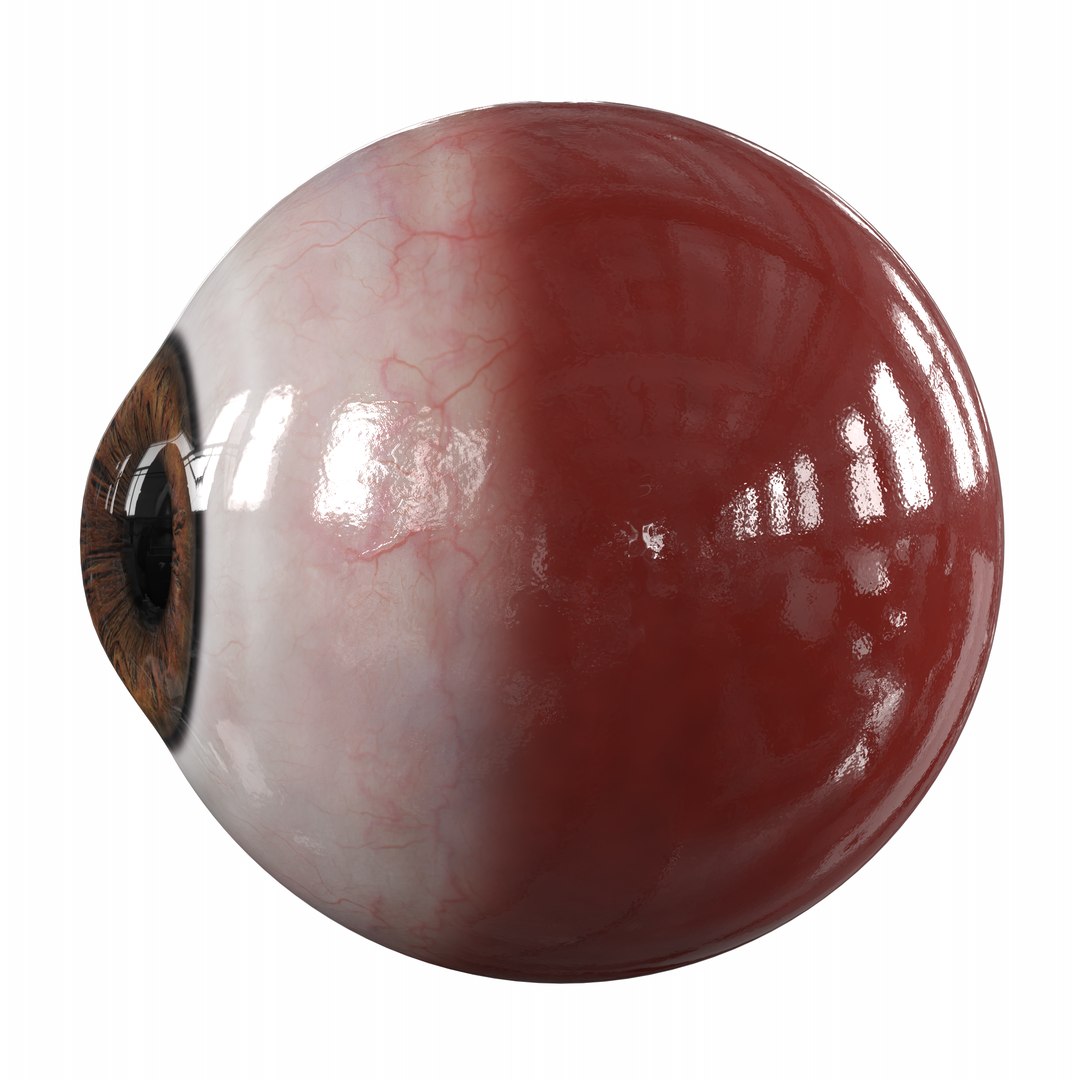 3D Human Realistic Eye Pupil Model - TurboSquid 1645566