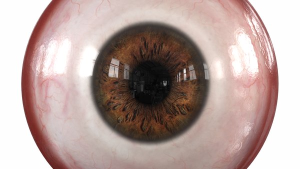 3D human realistic eye pupil model - TurboSquid 1645566