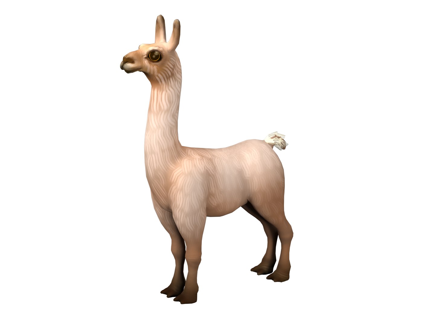 3D Alpaca With Rig High-poly Textured Model - TurboSquid 2345264