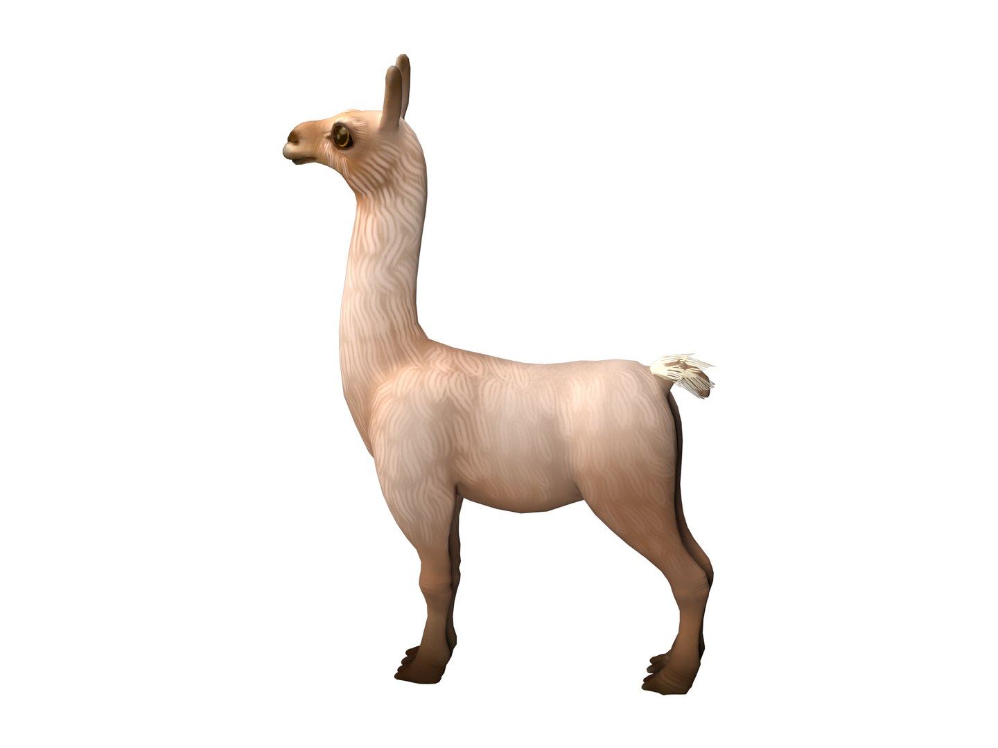 3D Alpaca With Rig High-poly Textured Model - TurboSquid 2345264