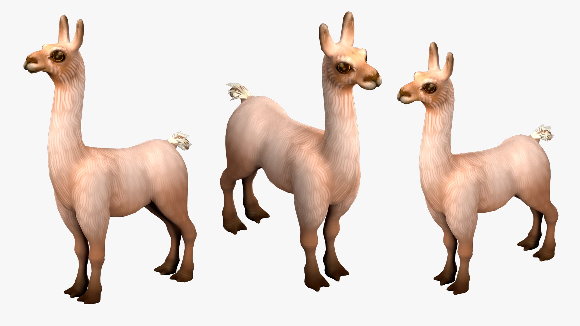 3D Alpaca With Rig High-poly Textured Model - TurboSquid 2345264