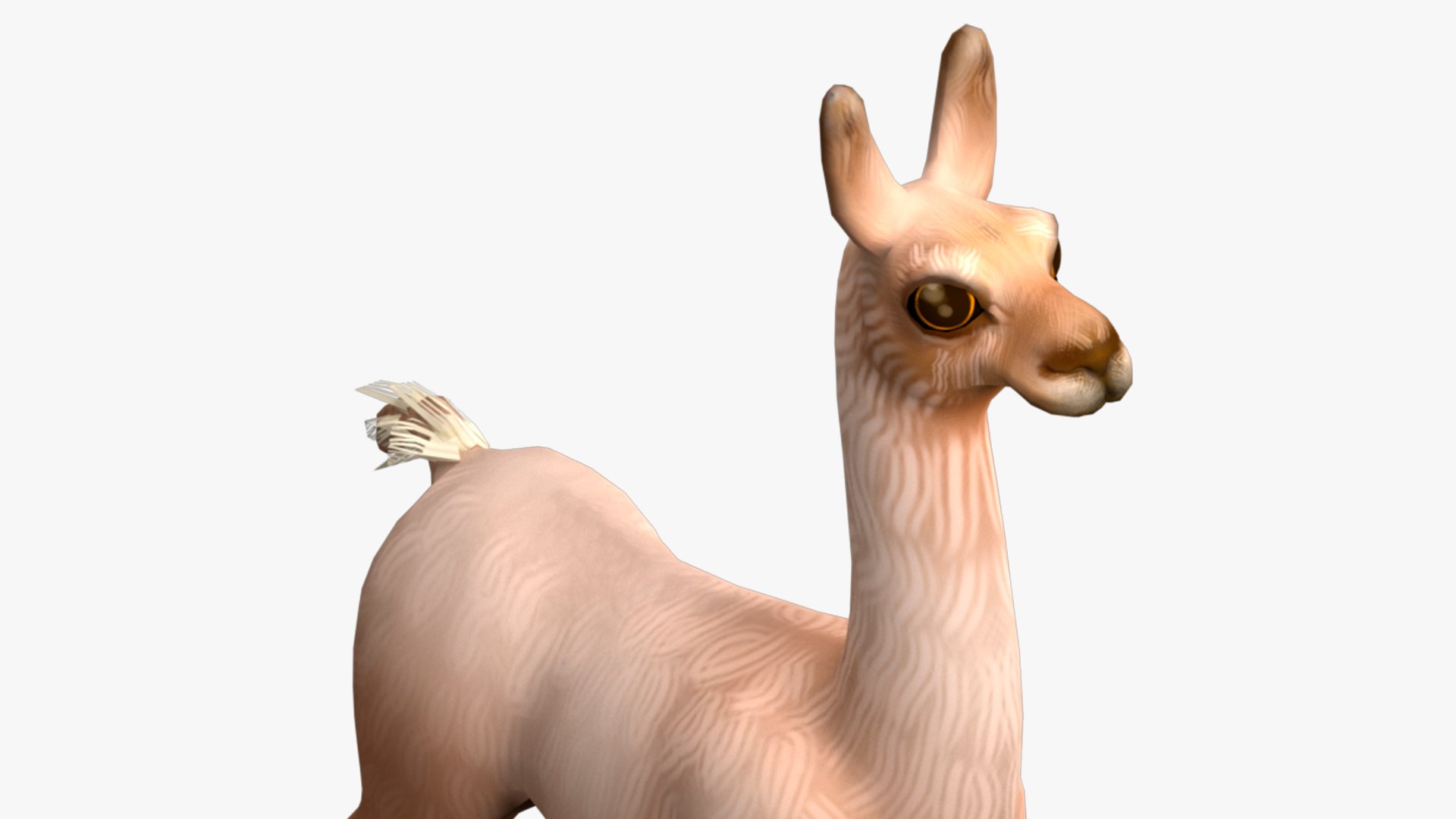 3D Alpaca With Rig High-poly Textured Model - TurboSquid 2345264
