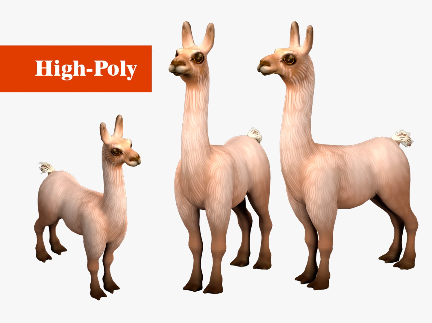 3D Alpaca With Rig High-poly Textured Model - TurboSquid 2345264
