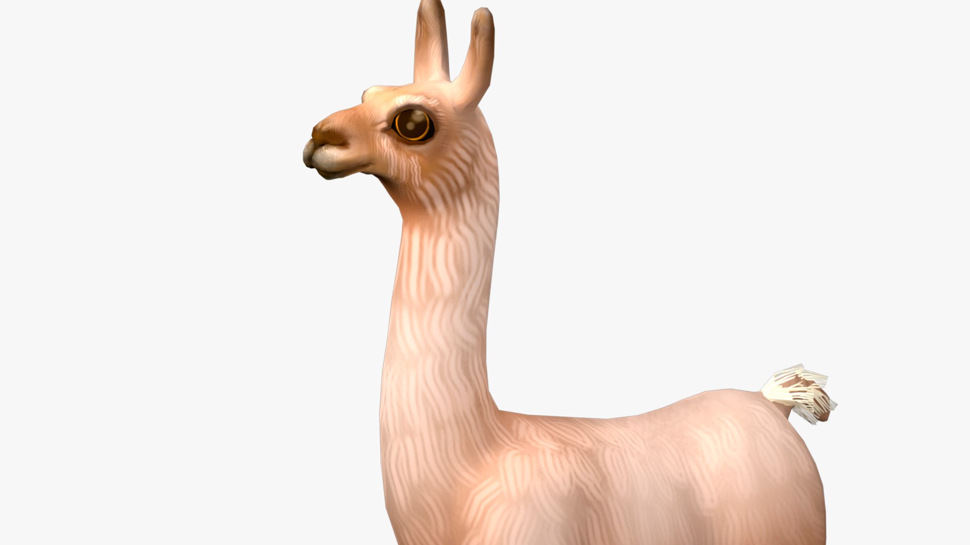 3D Alpaca With Rig High-poly Textured Model - TurboSquid 2345264