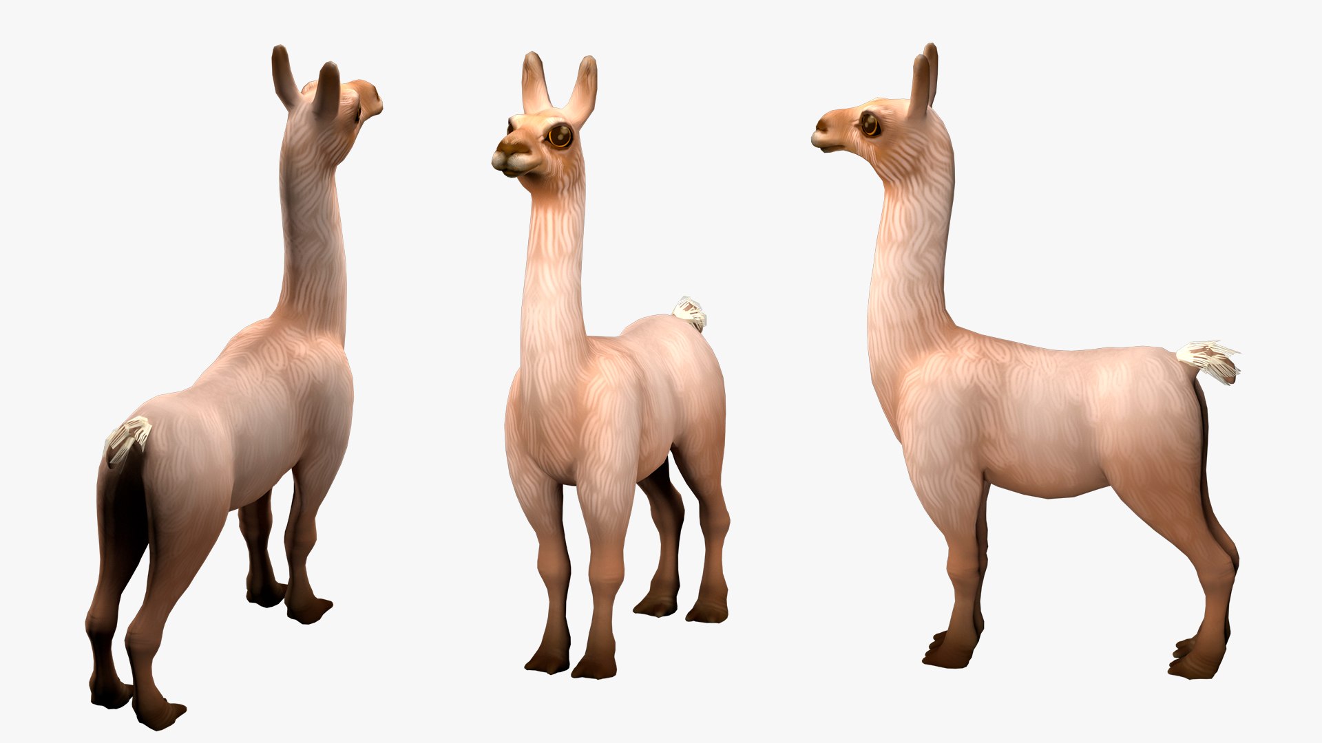 3D Alpaca With Rig High-poly Textured Model - TurboSquid 2345264