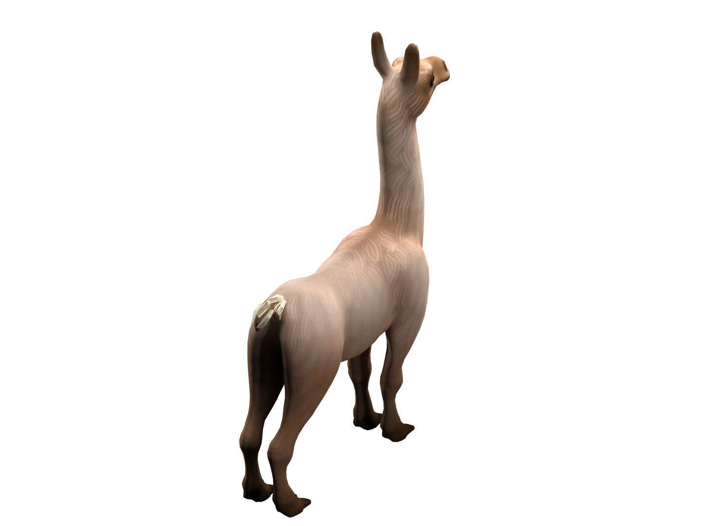 3D Alpaca With Rig High-poly Textured Model - TurboSquid 2345264