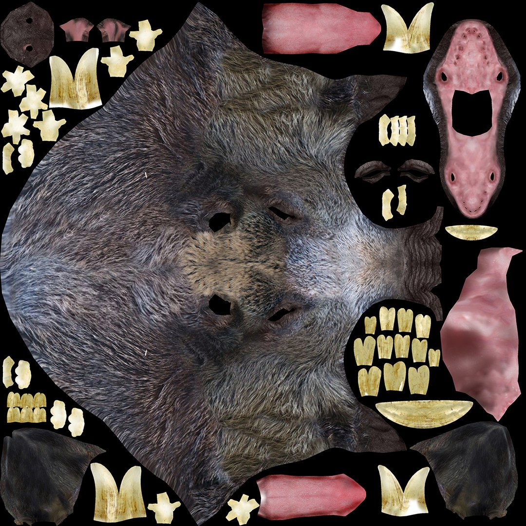 Wild Boar Head Max