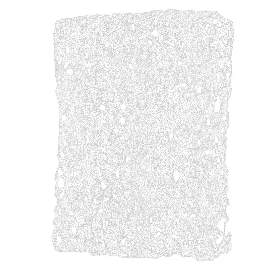3D Model Bone Structure Sponge - TurboSquid 1823021
